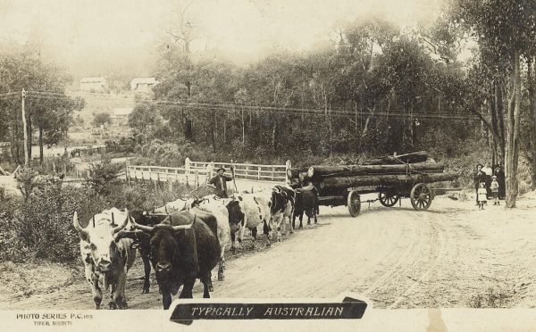 On the Road: The ‘Bullocky’ – Old Treasury Building