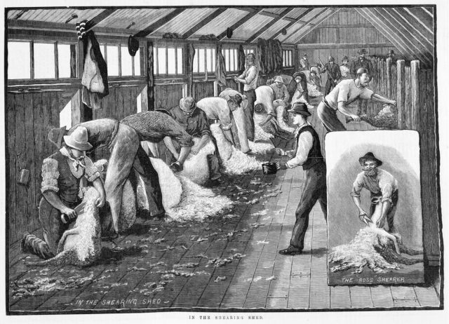 On the Land: Wool – Old Treasury Building