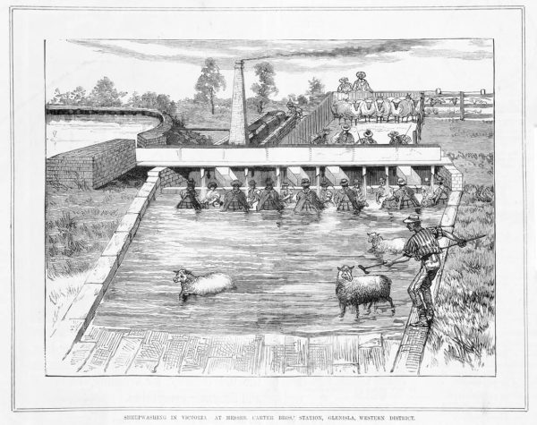 On the Land: Wool – Old Treasury Building