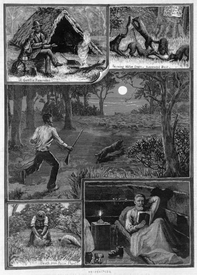 On the Land: The pastoral industry – Old Treasury Building
