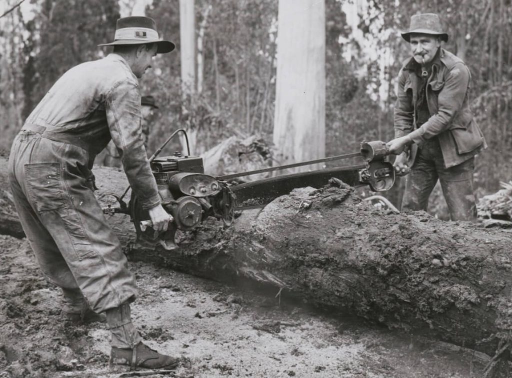On the Land: Timber getters – Old Treasury Building