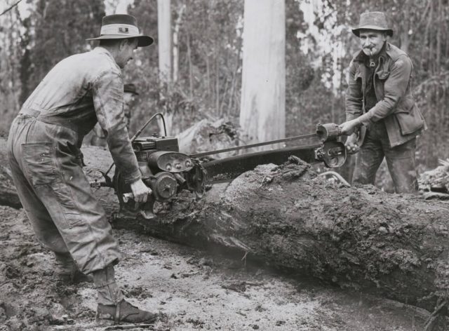 On the Land: Timber getters – Old Treasury Building