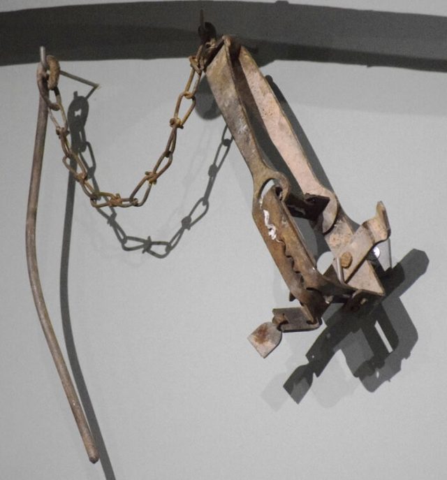 On the Land: the Rabbit Conquers Victoria – Old Treasury Building